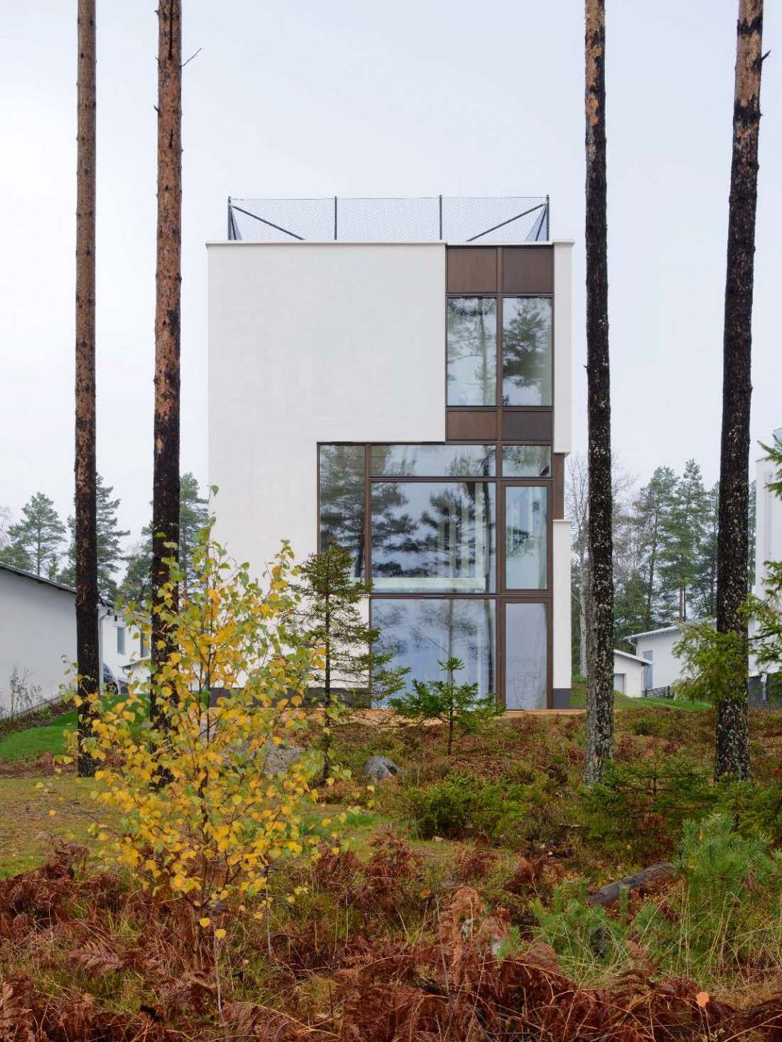 CLT-panelen - Onze producten | CLT Profi